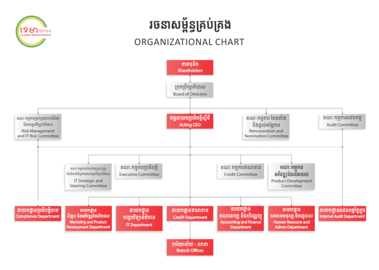 Organization Chart ~ CAMMA Microfinance Limited