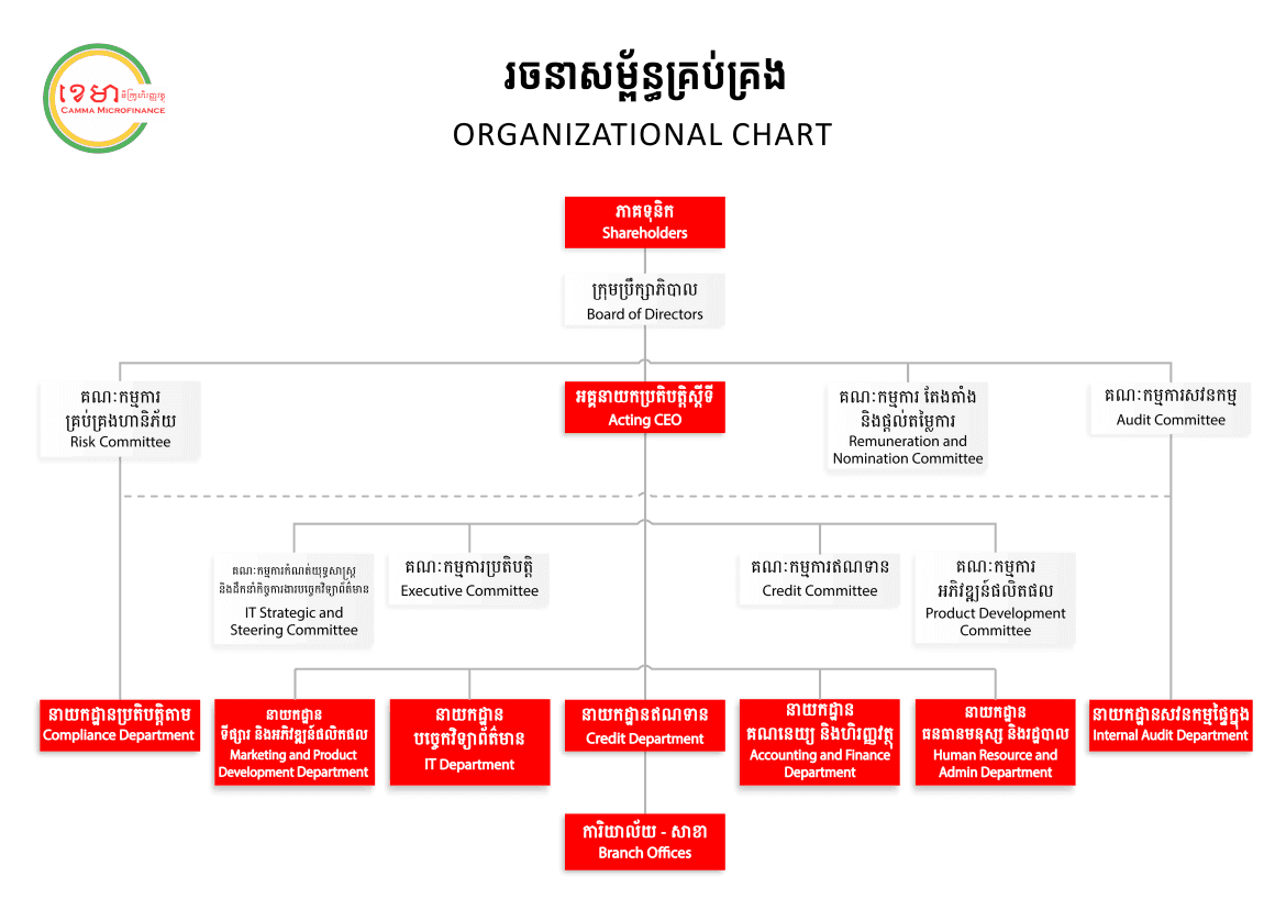 Organization Chart ~ CAMMA Microfinance Limited
